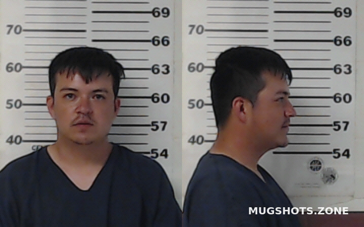PERDOMO-CEDILLO ALEXIS 05/05/2021 - Henderson County Mugshots Zone