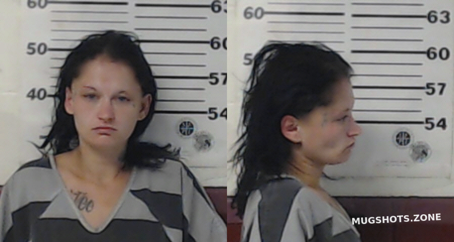 HIGGS RACHEL ELIZABETH 11/06/2021 - Henderson County Mugshots Zone