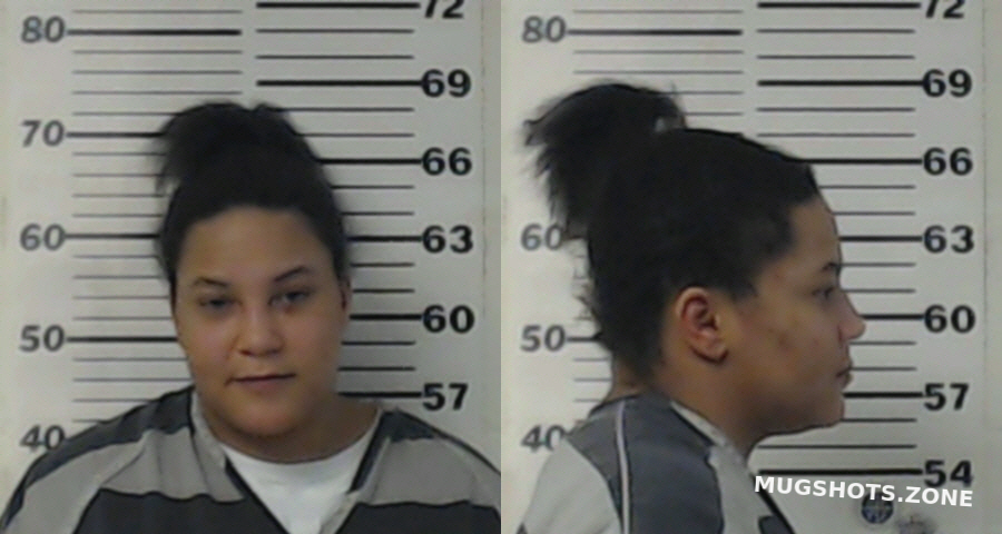 MILLER ASHLEY NICOLE 01/05/2022 - Henderson County Mugshots Zone