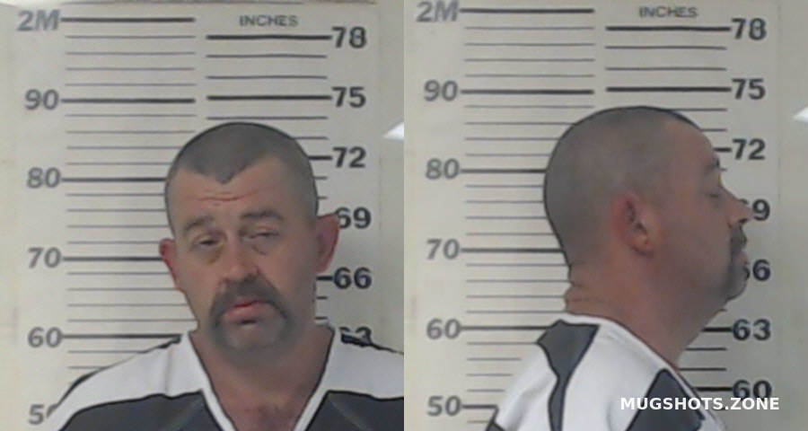 HIPP ADRIAN LEWIS 02/15/2022 - Henderson County Mugshots Zone