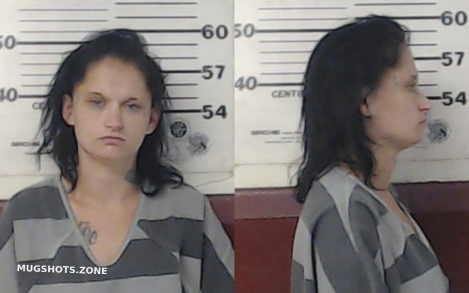 HIGGS RACHEL ELIZABETH 05/06/2022 - Henderson County Mugshots Zone