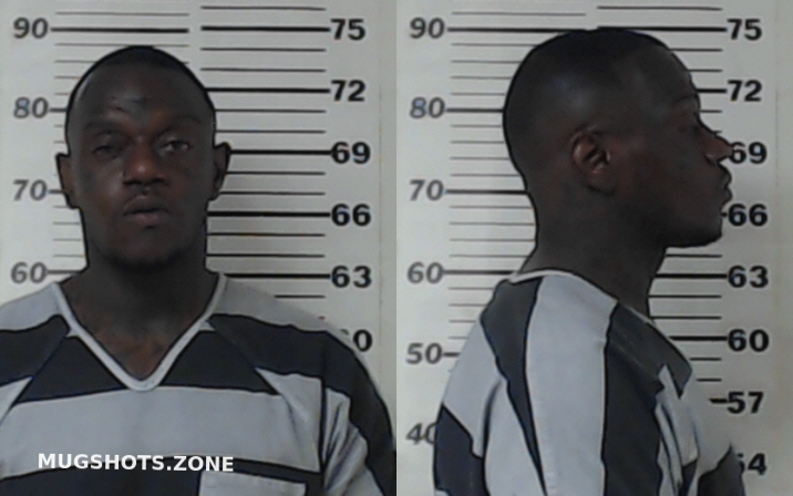 BELL COREY RASHAD 06/14/2022 - Henderson County Mugshots Zone