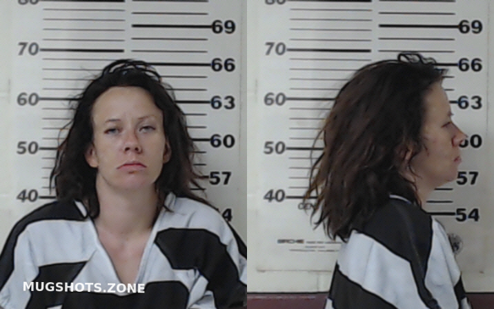 MEADOR RACHEL NICOLE 06/26/2022 - Henderson County Mugshots Zone