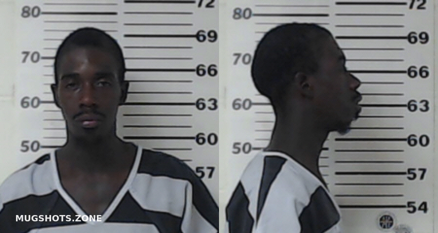 ROBERT NORRIS DEWAYNE 06/30/2022 - Henderson County Mugshots Zone