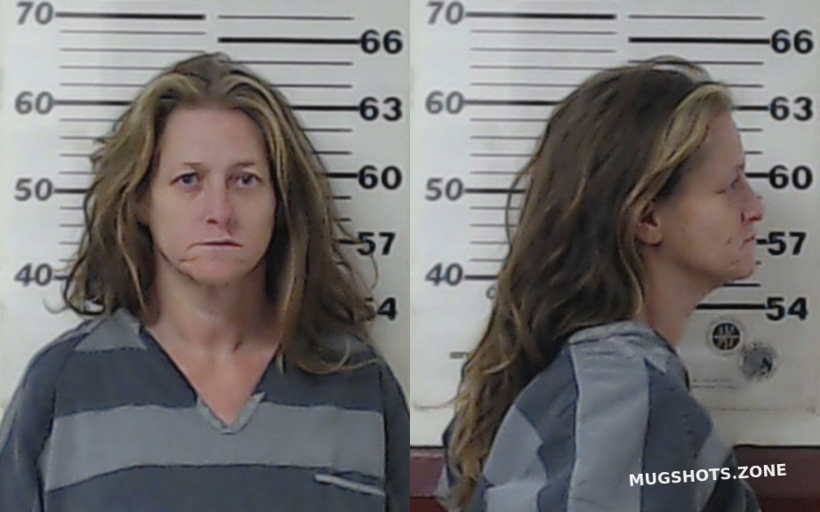 GIBSON SHELLEY MARIE 07/22/2022 - Henderson County Mugshots Zone