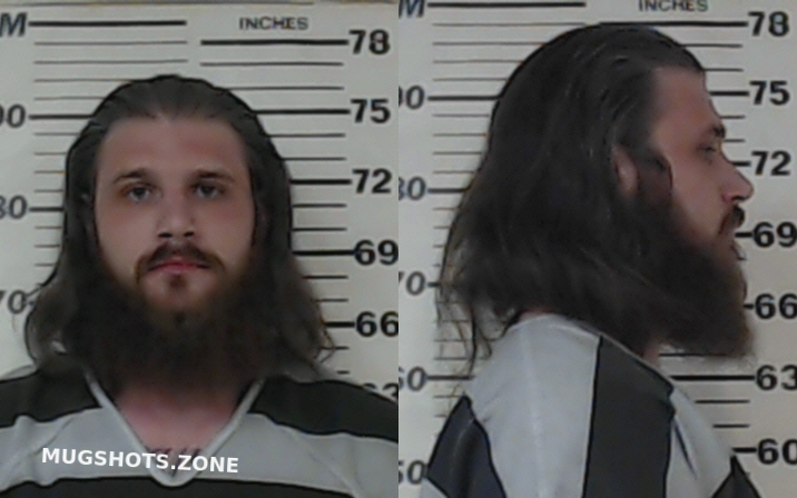 RIDLEY TYLER 08/01/2022 - Henderson County Mugshots Zone