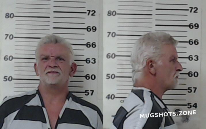 ROPER RONALD BRADLEY 08/07/2022 - Henderson County Mugshots Zone