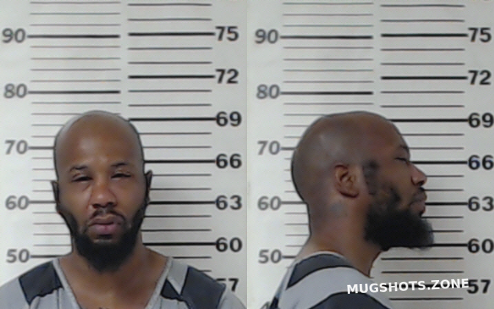 BILLUPS TIRON BERNARD 08/30/2022 - Henderson County Mugshots Zone