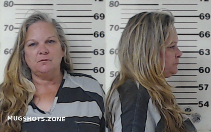 ALOTTO STACEY LYNN 08/31/2022 - Henderson County Mugshots Zone