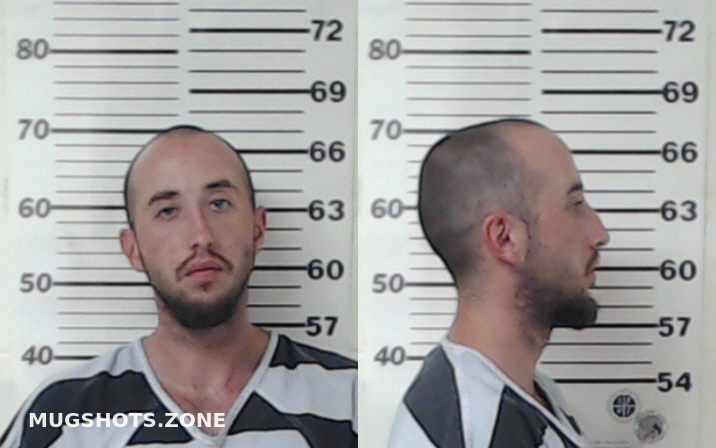DIFRONZO BRANDON GARY 10/01/2022 - Henderson County Mugshots Zone