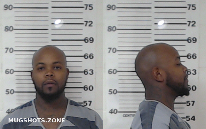 WILLIAMS TRAVION DESHUN 10/02/2022 - Henderson County Mugshots Zone