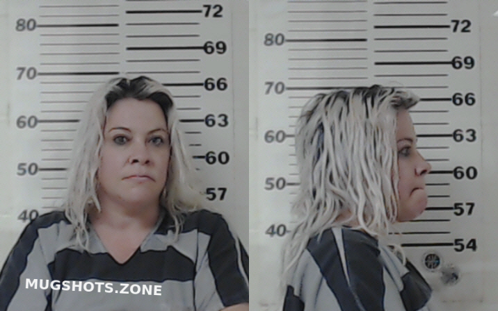 MEYERS BRENDA 10/30/2022 - Henderson County Mugshots Zone