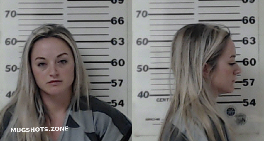 FOSTER CHELSIE LENETTE 11/06/2022 - Henderson County Mugshots Zone