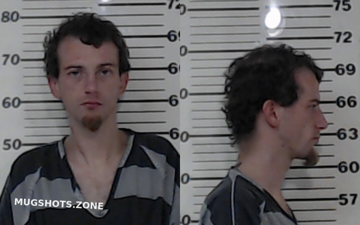 TADLOCK JOSHUA SAMUEL 11/07/2022 - Henderson County Mugshots Zone