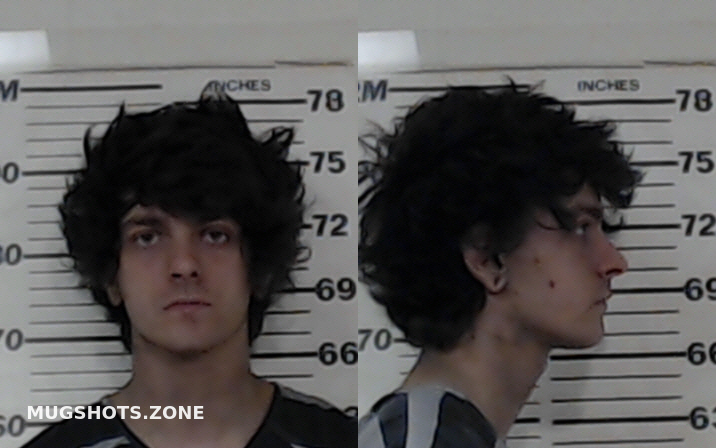 BOYD LEO RALPH 11/07/2022 - Henderson County Mugshots Zone