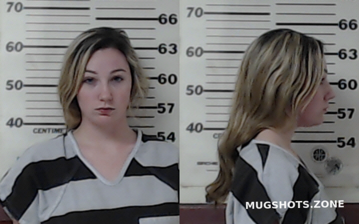 HERRIAGE HAYLEY RENEE 11/13/2022 - Henderson County Mugshots Zone