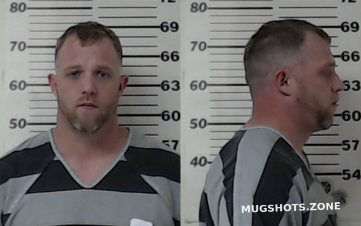 REED DANNY ALAN 11/14/2022 - Henderson County Mugshots Zone