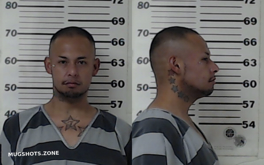 REYES EDGAR JESUS 11/17/2022 - Henderson County Mugshots Zone