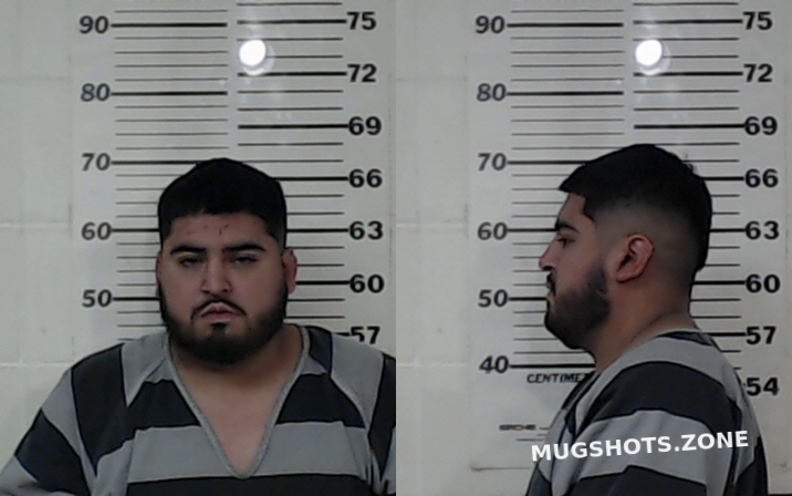 CASTANEDA JIMMY 11/20/2022 - Henderson County Mugshots Zone