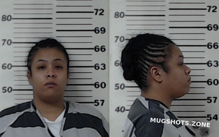 Blackfeet Jasmine Danielle 11 21 2022 Henderson County Mugshots Zone