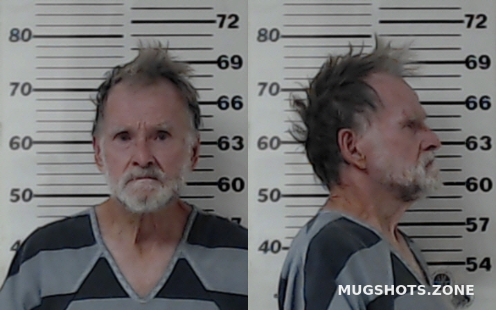 GIBBS JACK ANSON 11/22/2022 - Henderson County Mugshots Zone