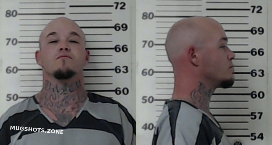 HALEY CHRISTOPHER LEWIS 12/08/2022 - Henderson County Mugshots Zone