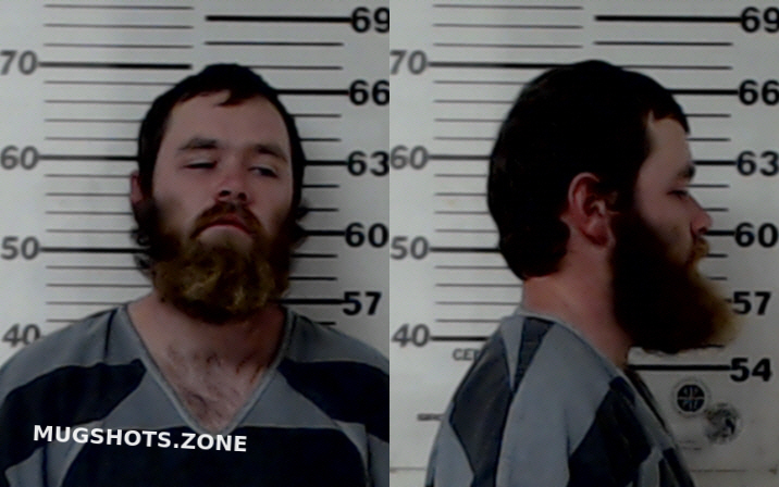 AUTREY DAVID COLE 12/12/2022 - Henderson County Mugshots Zone