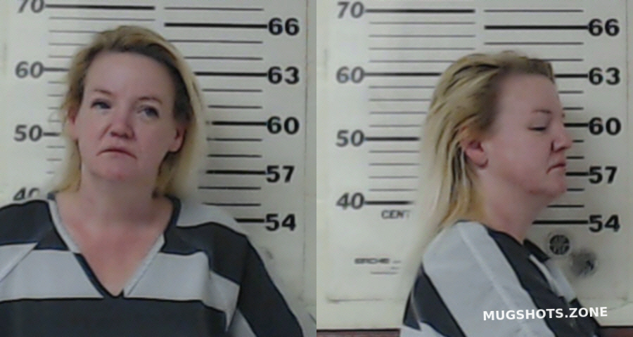 WATERS SANDRA COLLEEN 12/17/2022 - Henderson County Mugshots Zone