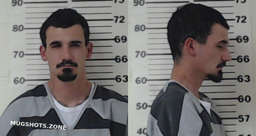 COBB NICHOLAS RYLAN 12/24/2022 - Henderson County Mugshots Zone