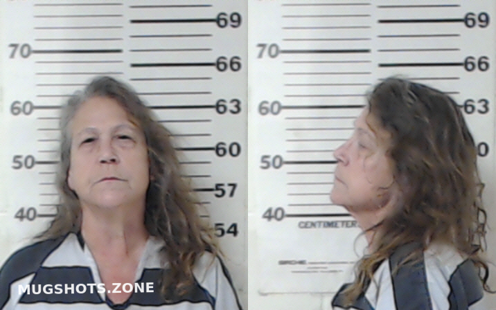 AVERY DENISE JOY 01/03/2023 - Henderson County Mugshots Zone