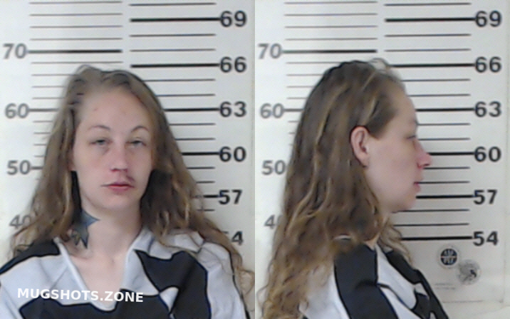 WESTBROOK JORDON TAYLOR 01/04/2023 - Henderson County Mugshots Zone
