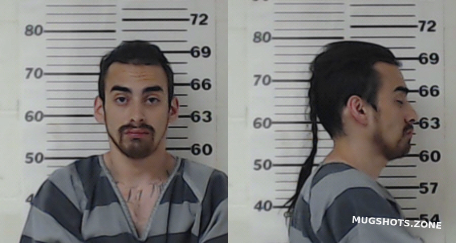 REYNOLDS AARON RAY 01/14/2023 - Henderson County Mugshots Zone