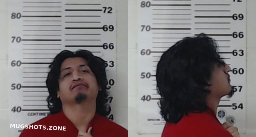 CALIXTO JAMES LOPEZ 01/19/2023 - Henderson County Mugshots Zone