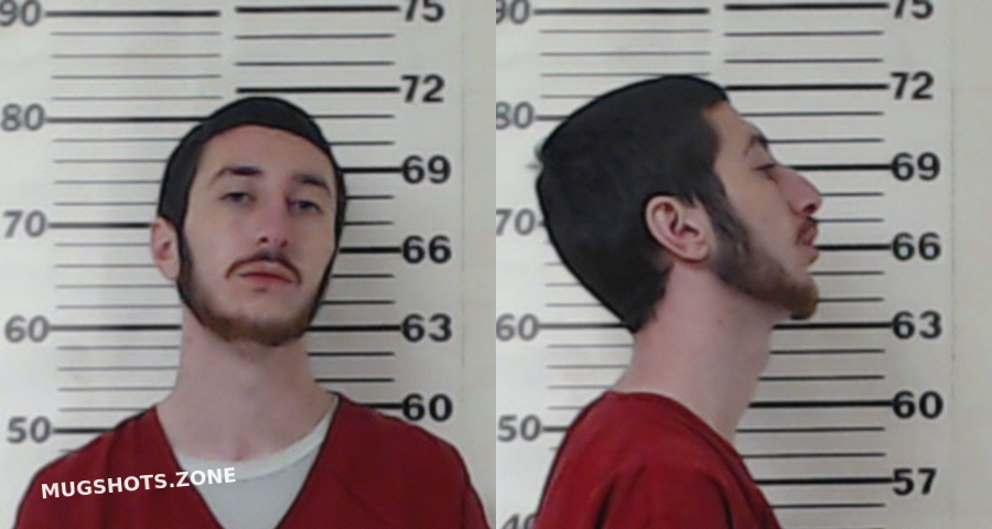 AFSHARI ALEXANDER ANTHONY 02/02/2023 - Henderson County Mugshots Zone