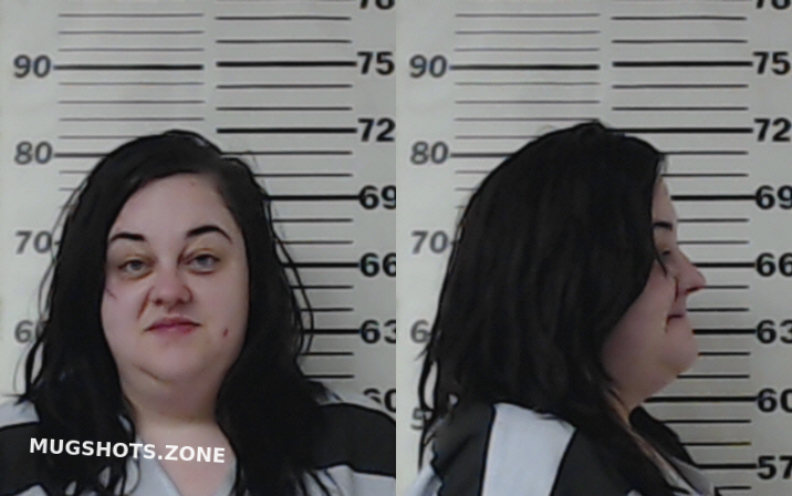 WISDOM ANGELA LYNN 02/05/2023 - Henderson County Mugshots Zone