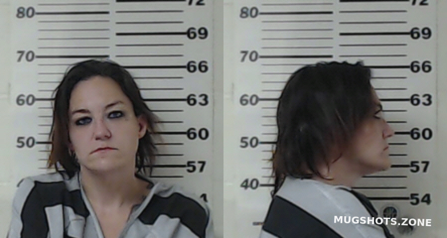 BINGHAM HOLLY RENEE 02/10/2023 - Henderson County Mugshots Zone