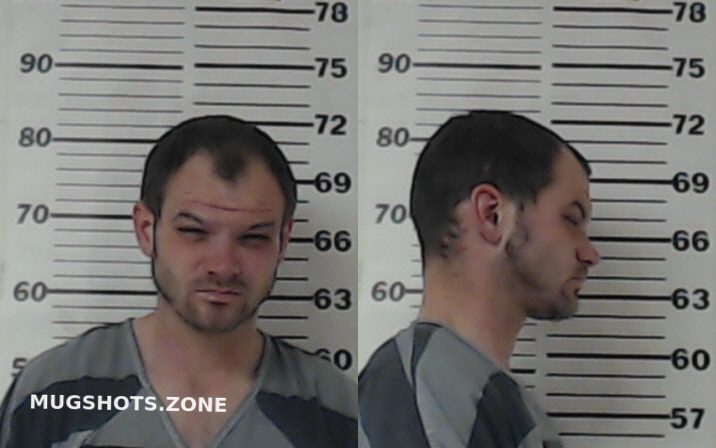 JOHNSON COREY VANCE 02/12/2023 - Henderson County Mugshots Zone