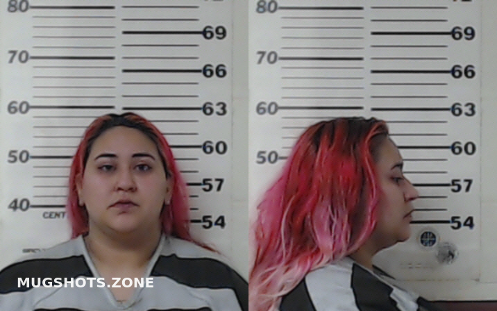 IRIS GALAN XAVRIA 02/13/2023 - Henderson County Mugshots Zone