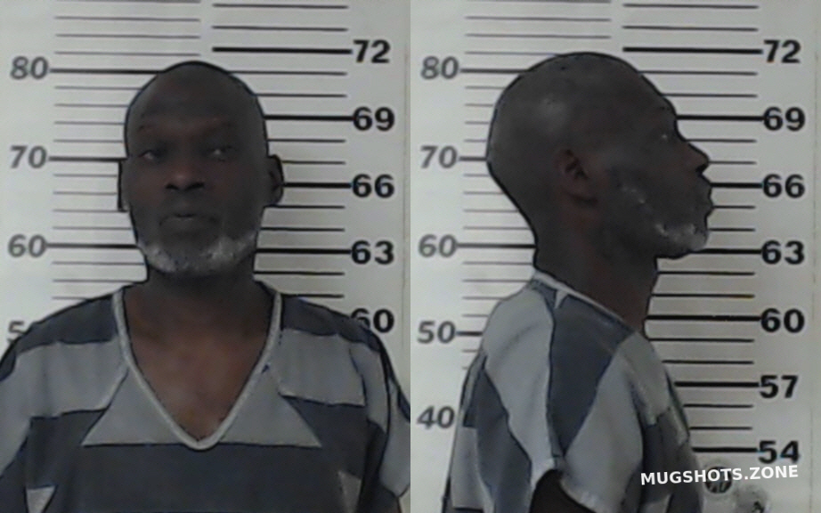RAY ERNEST LEE 02/16/2023 - Henderson County Mugshots Zone