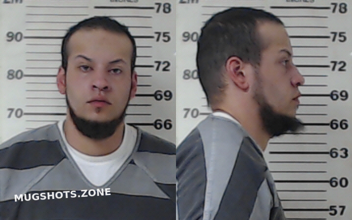 PERRY TERRENCE RAYMOND 02/20/2023 - Henderson County Mugshots Zone