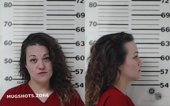 JONES SHAUNA ANN 02/27/2023 - Henderson County Mugshots Zone
