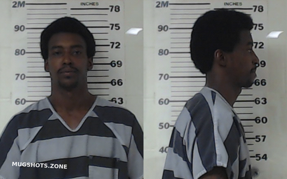 SIMS RUFUS EARNEST JR. 03/02/2023 - Henderson County Mugshots Zone