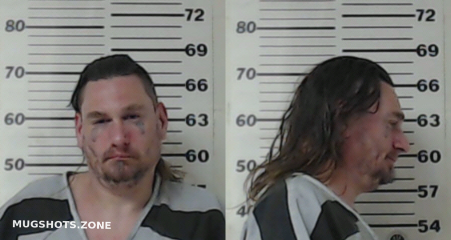 DAVEY CHRISTOPHER ALAN 03/03/2023 - Henderson County Mugshots Zone