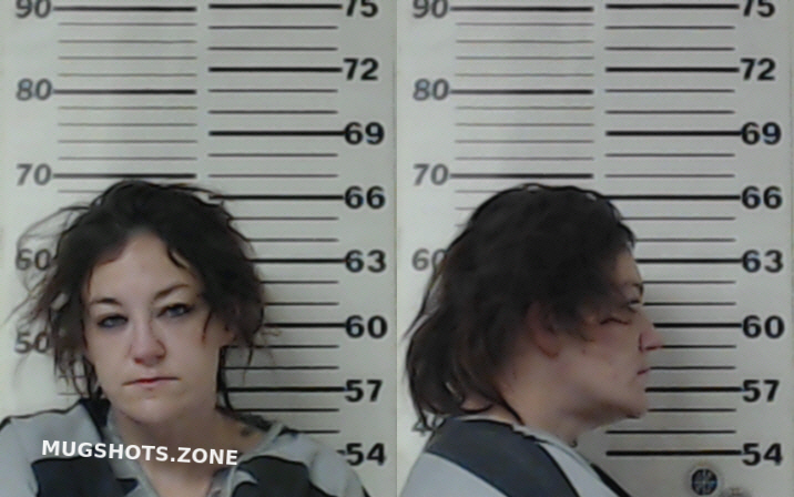 BINGHAM HOLLY RENEE 03/04/2023 - Henderson County Mugshots Zone