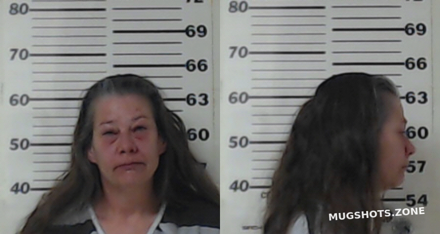 STOUT TABATHA ANN 03/04/2023 - Henderson County Mugshots Zone
