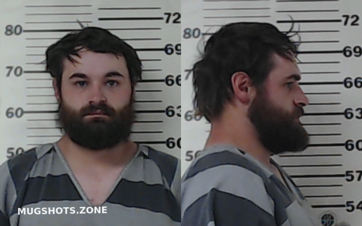 FISCUS BRADLEY RHETT 03/13/2023 - Henderson County Mugshots Zone
