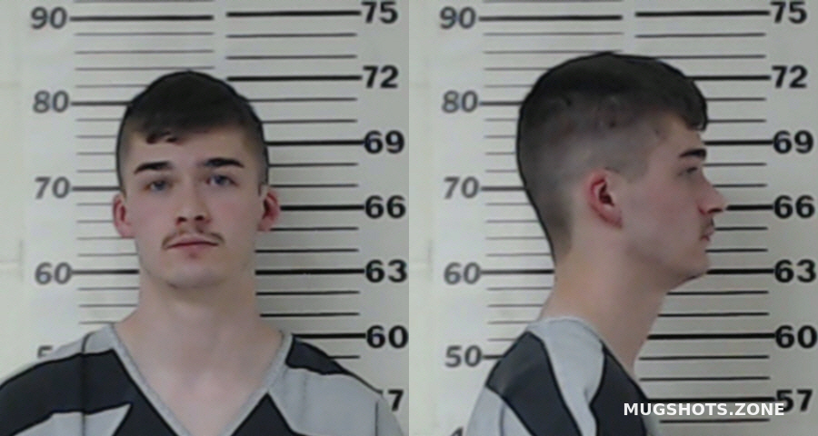 TIMKO ADEN SCOTT 03/15/2023 - Henderson County Mugshots Zone