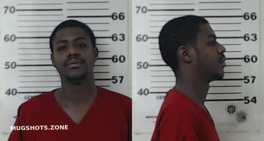 SHEPHERD LESTER JAMES JR. 03/16/2023 - Henderson County Mugshots Zone