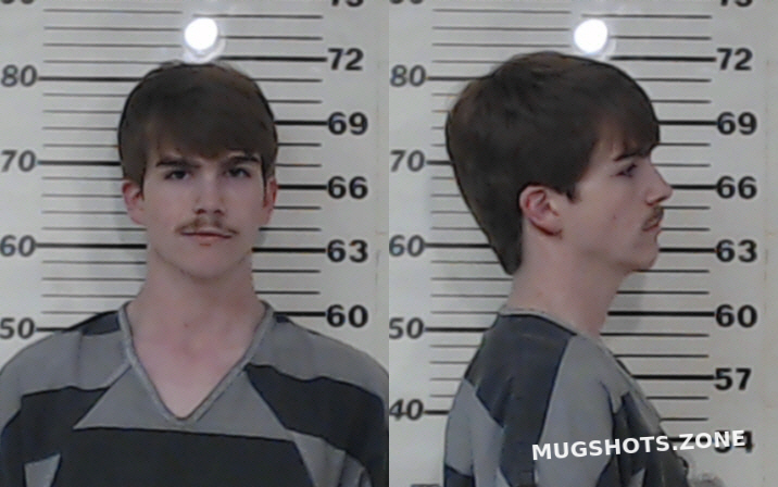 WILSON DEVIN RAY 03/27/2023 - Henderson County Mugshots Zone