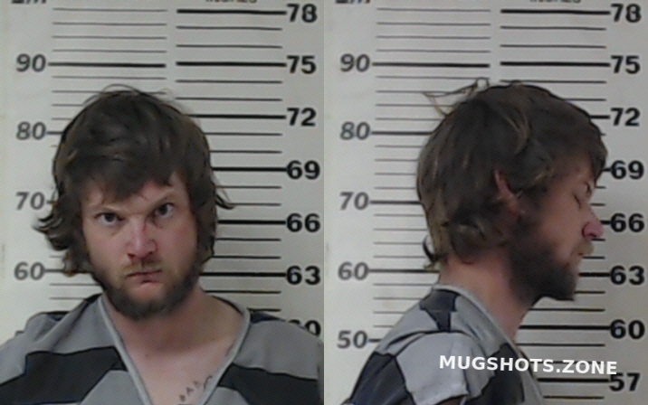SWEATT TYLER WAYNE 03/28/2023 - Henderson County Mugshots Zone
